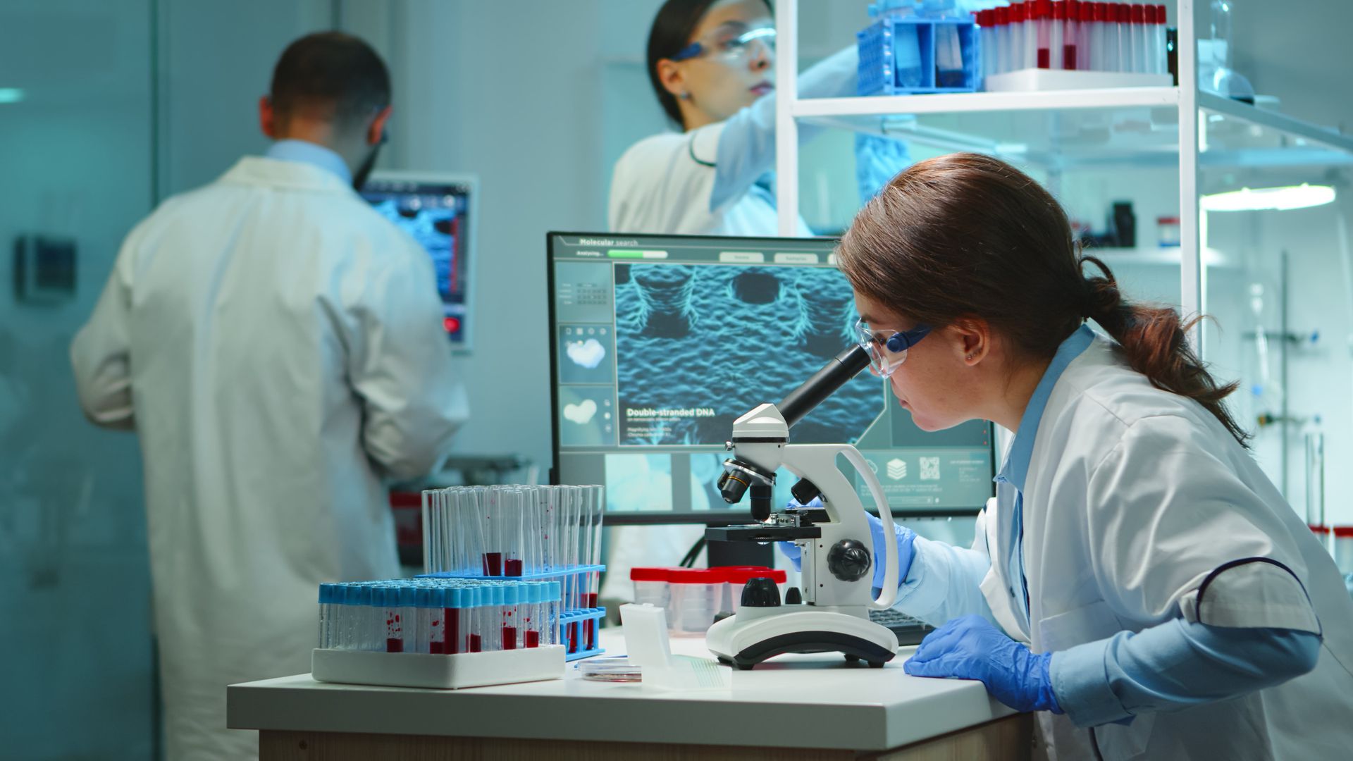 Discover the universe within a blood tube with peripheral blood ...